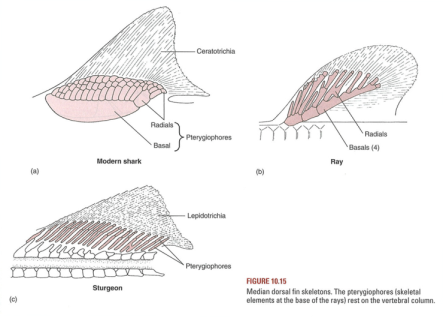 Presentation Name on emaze