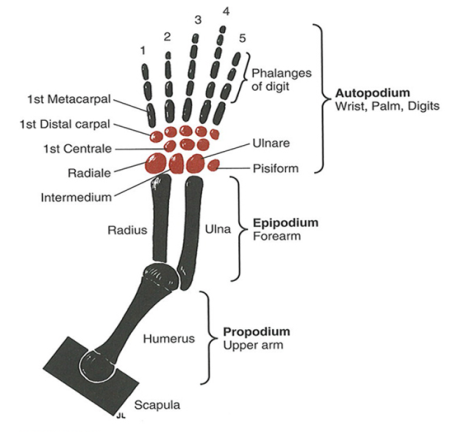 Presentation Name at emaze Presentation