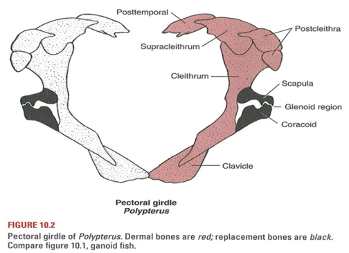 Presentation Name on emaze