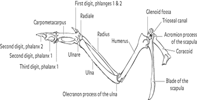 Presentation Name on emaze