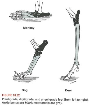 Presentation Name on emaze