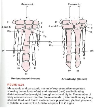 Presentation Name on emaze