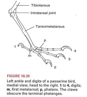 Presentation Name on emaze