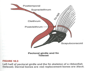 Presentation Name on emaze