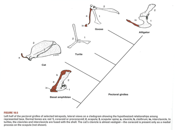 Presentation Name on emaze