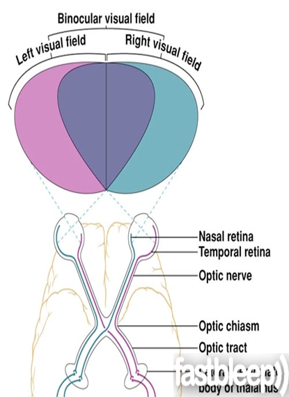Presentation Name on emaze