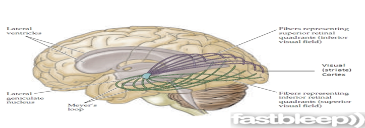 Presentation Name on emaze