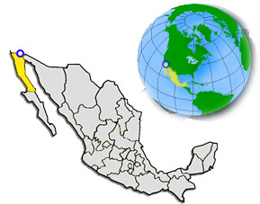 Los Cucapás on emaze