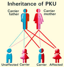 Phenylketonuria on emaze