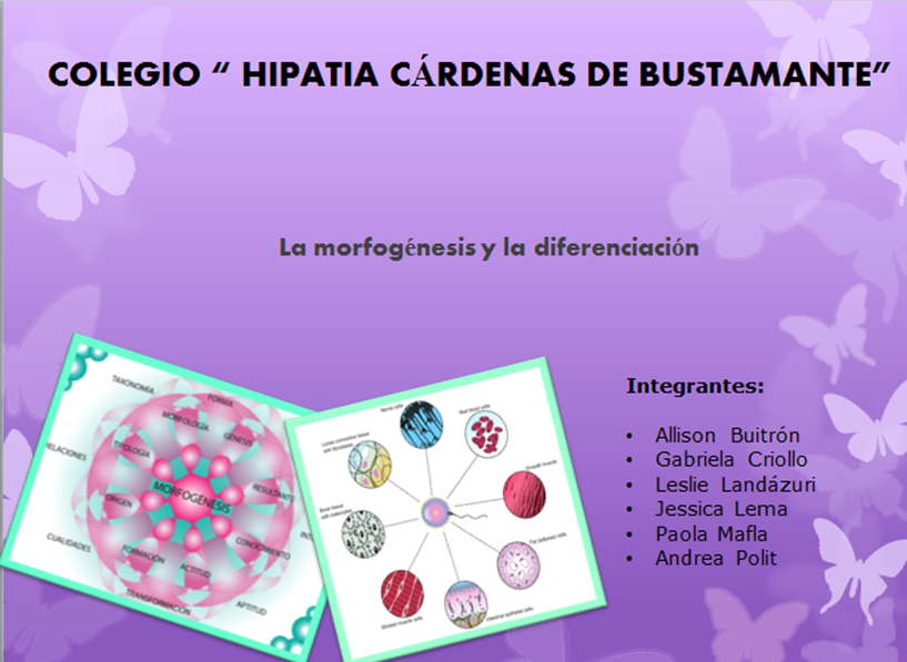 La morfogénesis y la diferenciación on emaze