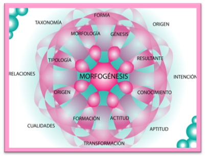 La morfogénesis y la diferenciación on emaze