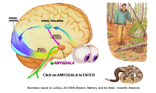 Emotional Intelligence on emaze