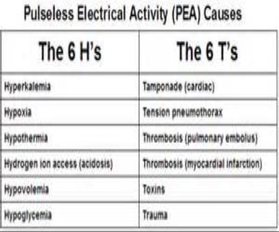 All Categories - makemultimedia