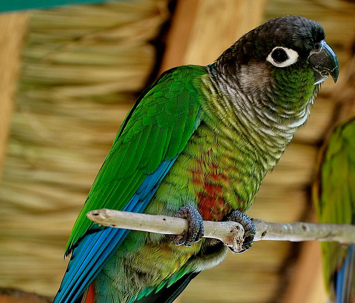 Liam Walters at emaze Presentation