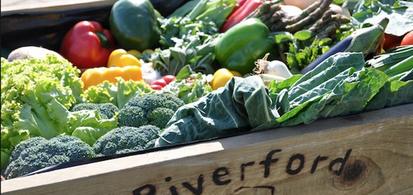 Riverford at emaze Presentation