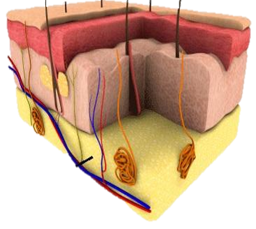 Presentation Name copy1 on emaze