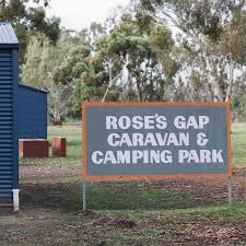 roses gap camp at emaze Presentation