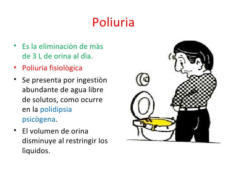 enfermedades del sistema excretor on emaze