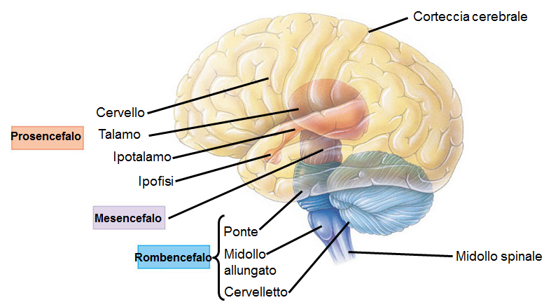 Presentation Name on emaze