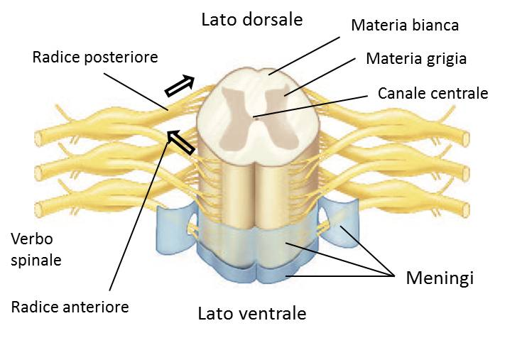 Presentation Name at emaze Presentation