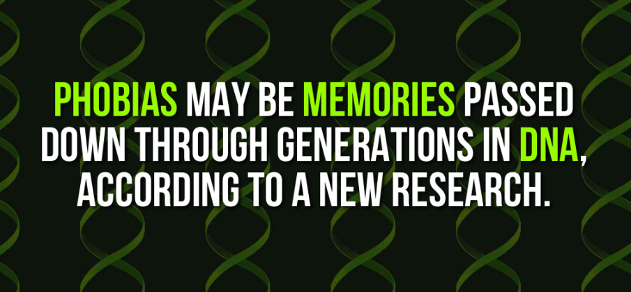 PSYCHOLOGY FACTS! at emaze Presentation