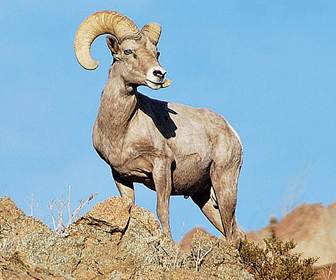 Presentation Name at emaze Presentation