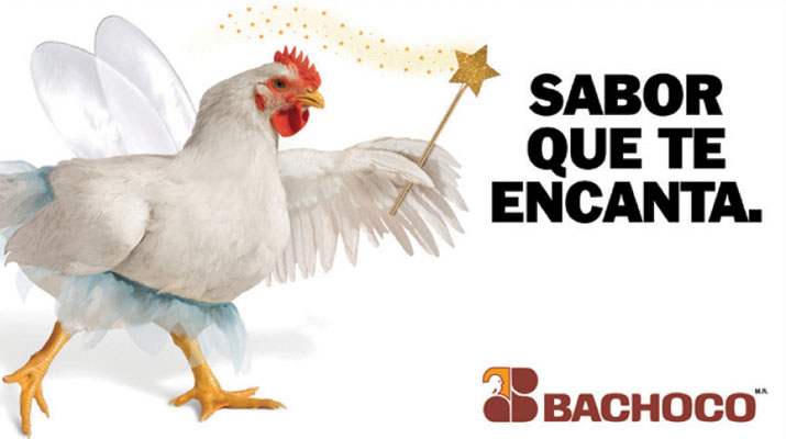 Bachoco at emaze Presentation