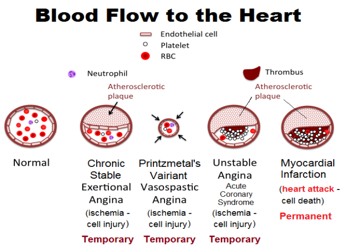 Presentation Name on emaze