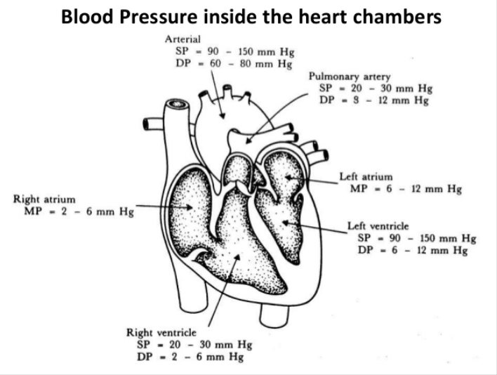 Presentation Name on emaze