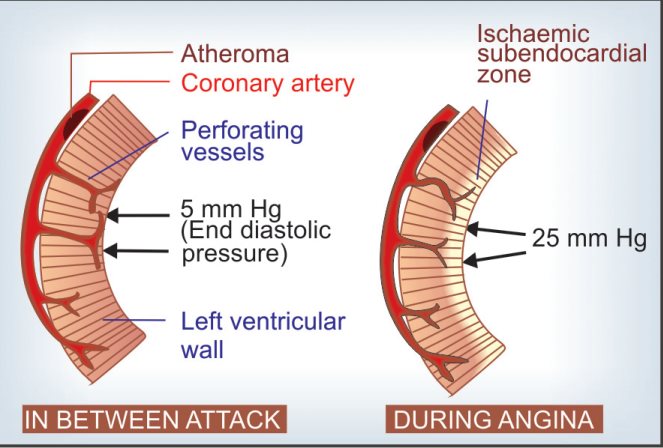Presentation Name on emaze