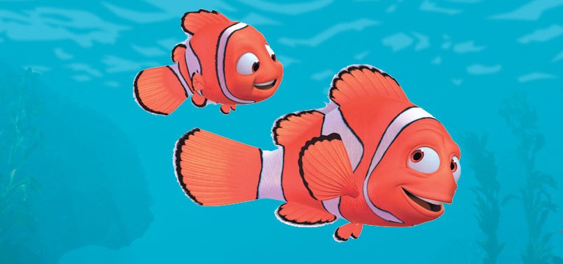 Procurando Nemo at emaze Presentation