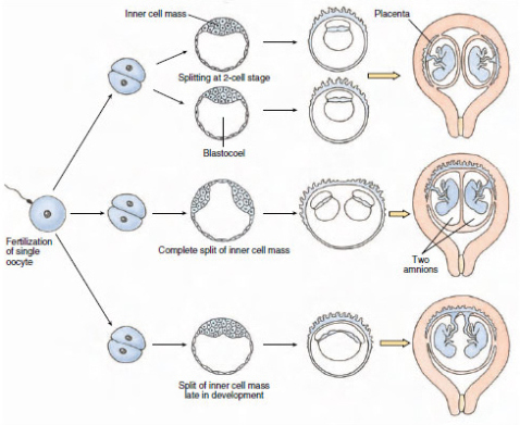 Your Title Here on emaze
