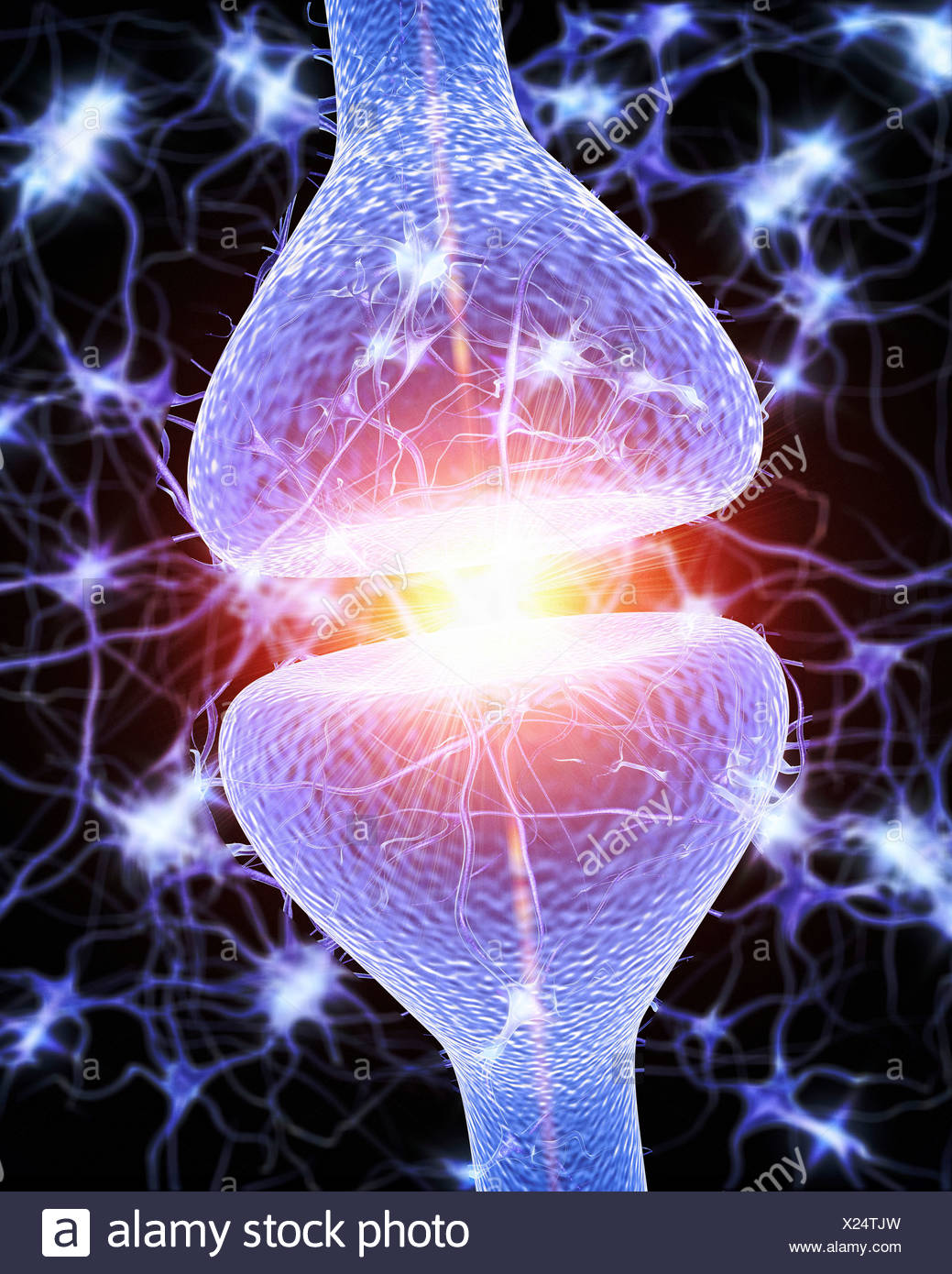 Il sistema nervoso copy1 on emaze