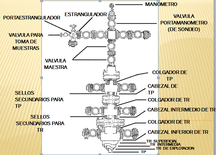 Presentation Name at emaze Presentation