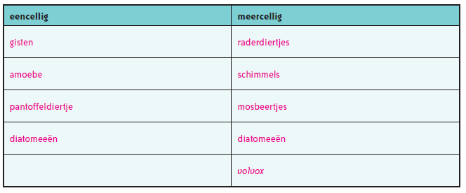 3ASO -Bio copy2 on emaze