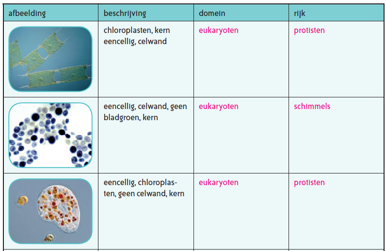 3ASO -Bio copy2 on emaze