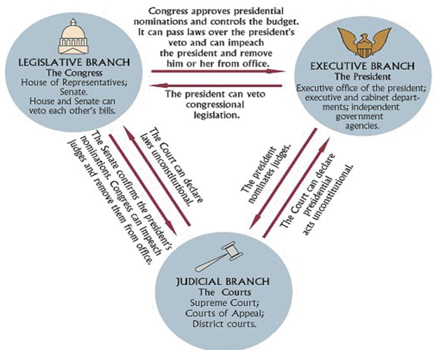 Institutional Powers: Checks and Balances at emaze Presentation