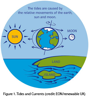 Chapter 11.3 & copy1 on emaze