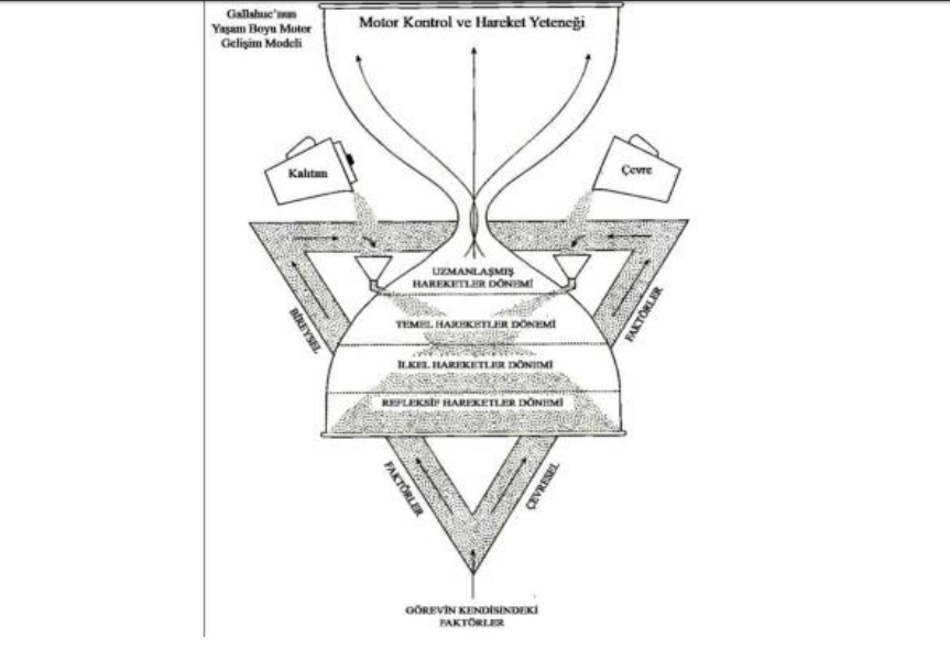 Motor Gelişim at emaze Presentation