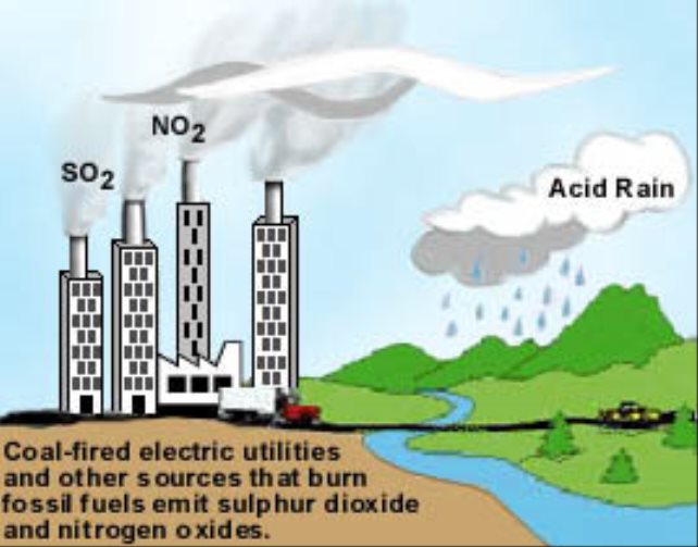 Acid Rain in Germany at emaze Presentation