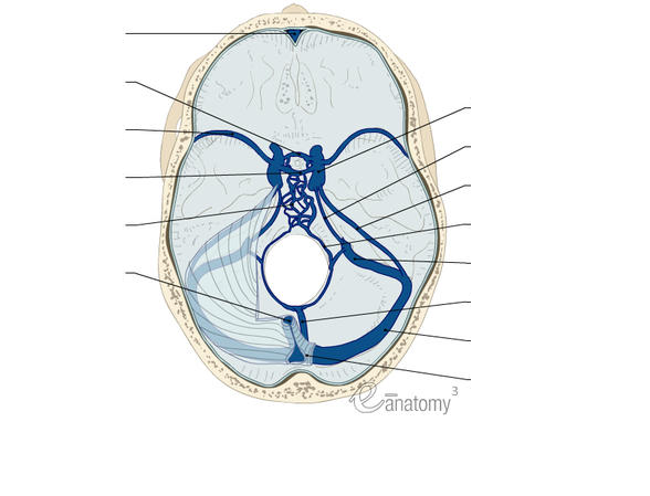 Presentation Name at emaze Presentation