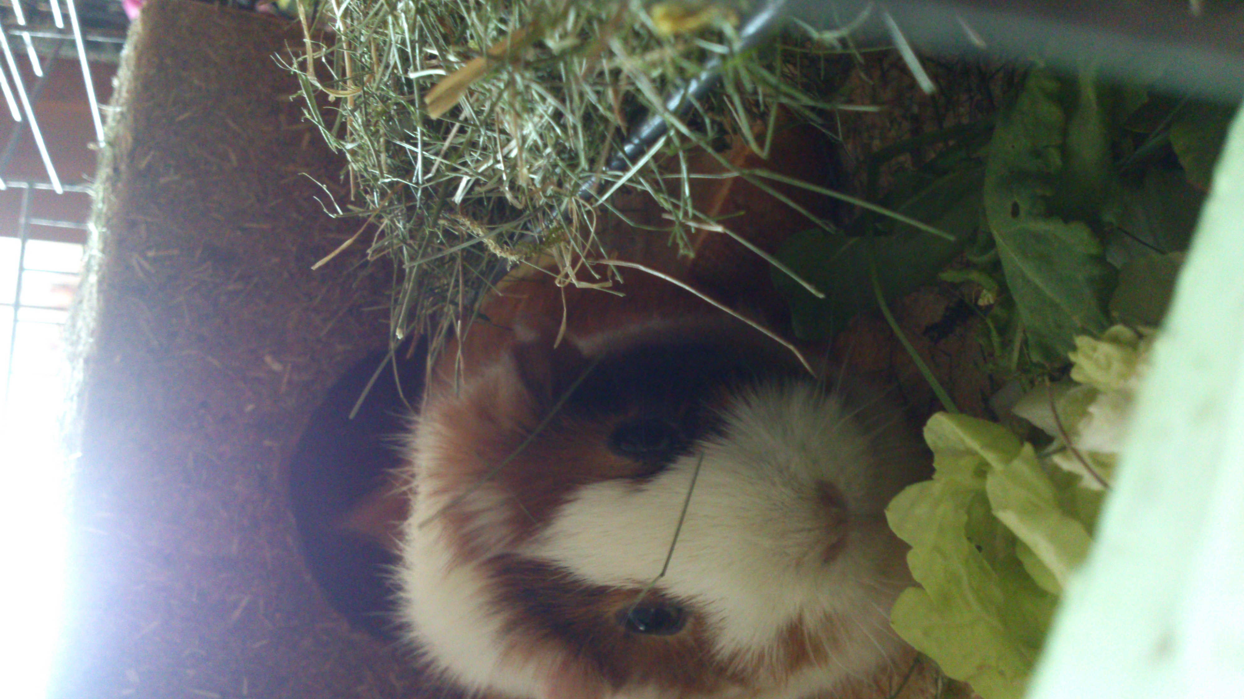 MERISIGA at emaze Presentation