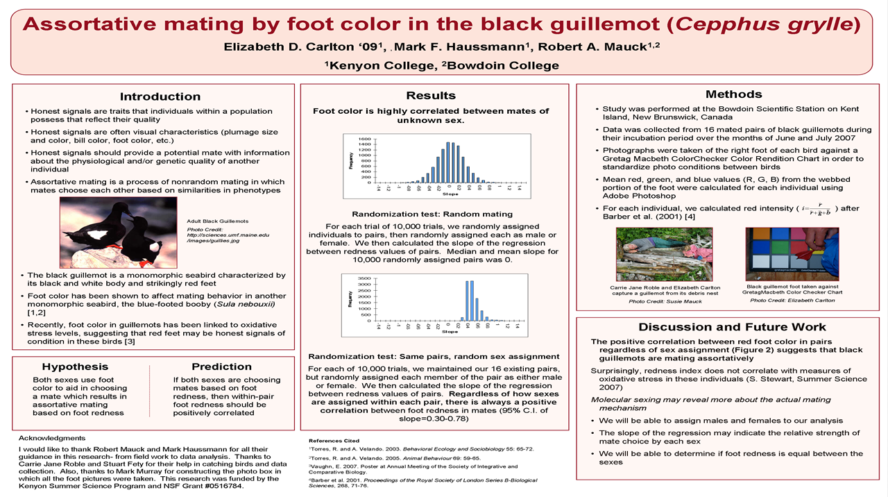 how-to-design-a-research-poster-at-emaze-presentation