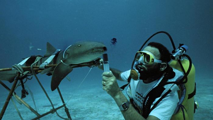 Marine Biologist on emaze
