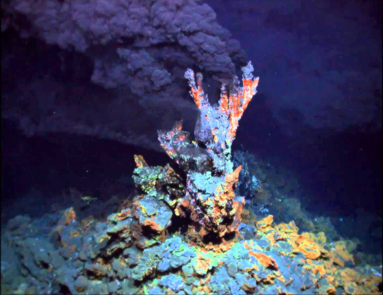 The Unexplored Ocean at emaze Presentation