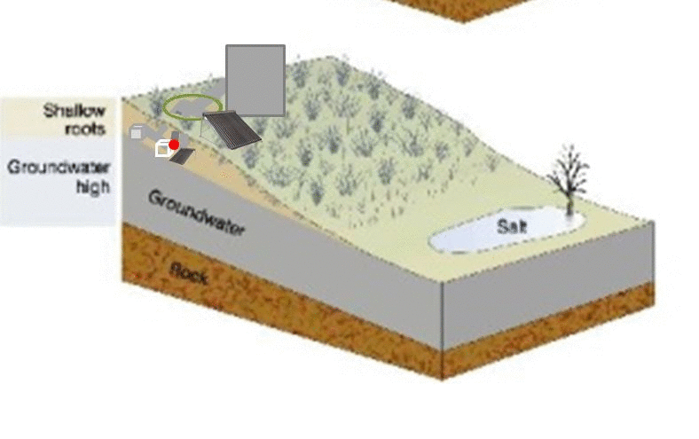 Science Assignment - SALINITY Copyright 2014 (c) on emaze