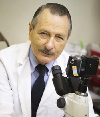 Presentation Name on emaze