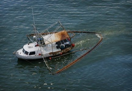 MT Haven Tanker Oil Spill on emaze