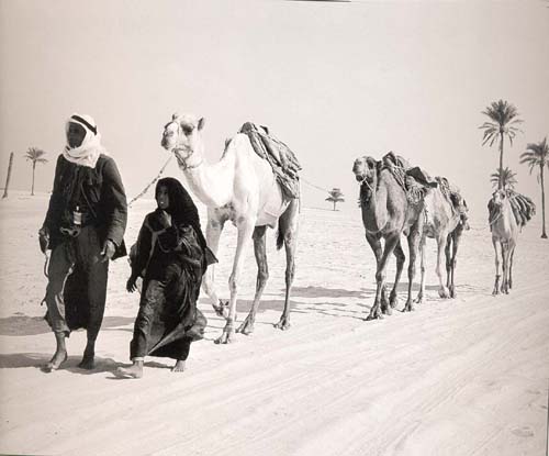 arabic ss project on emaze