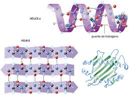 Bioquimica-Proteinas on emaze